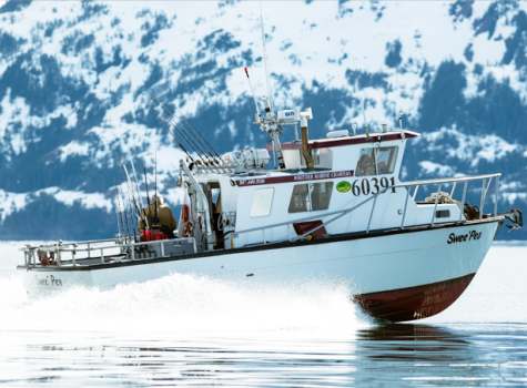 Vessels Swee Pea - Whittier Marine Charters